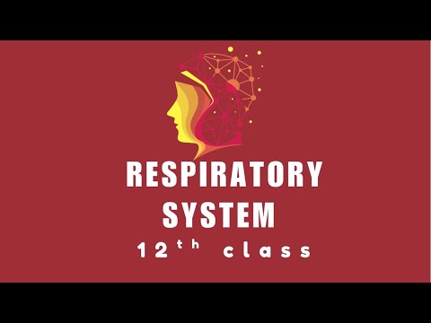 Respiration part 1|chapter 14|class 12th|cloudless lectures