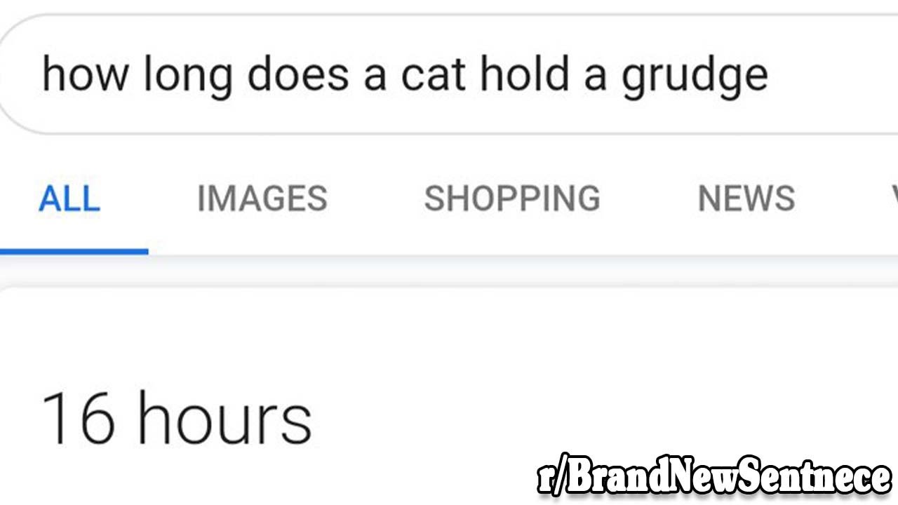 Uh oh... | r/BrandNewSentence