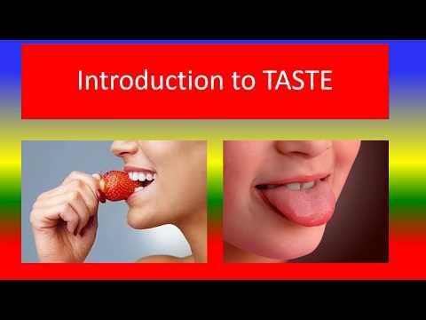 SENSE OF TASTE - meaning , definition , types , process , abnarmalities .