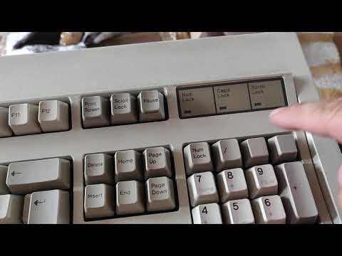 IBM keyboard eBay