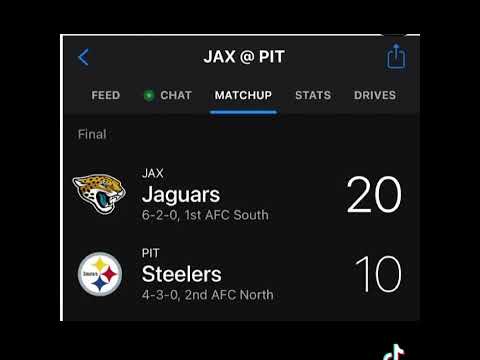 ???? Scripted NFL Big Cat Teams Win On National Cat Day Jaguars Jags Panthers Bengals