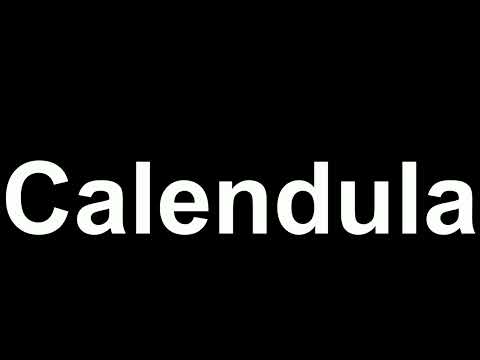 How to Pronounce "Calendula"