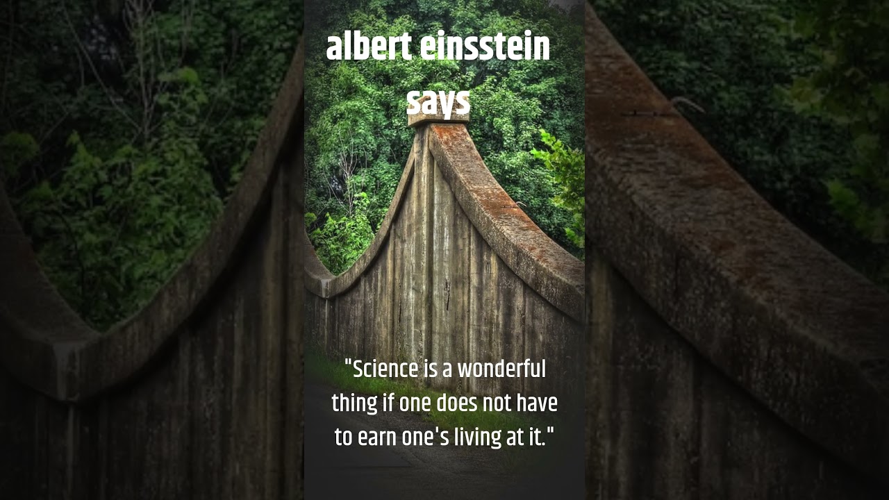 albert einstein quotes