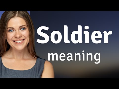 Soldier | definition of SOLDIER