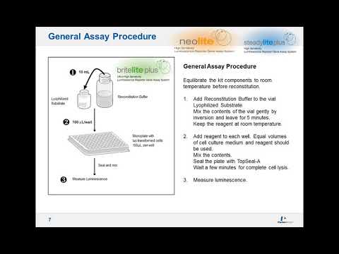 Answering the Challenges of Cell Viability and Reporter Gene Assays Screening Cost and Quality
