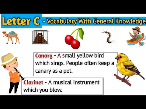 Letter C Vocabulary (Part-1) || Word-by-Word Picture Dictionary || Brainy Blossoms
