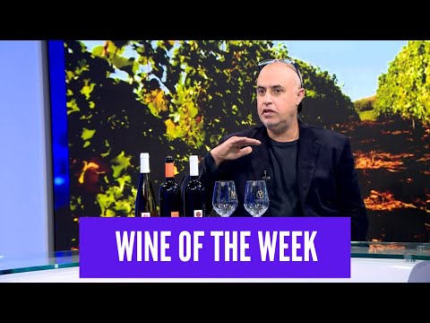 ILTV sits down with Vitkin Winery