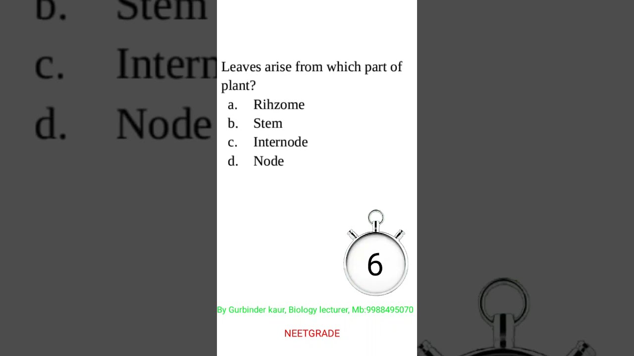 MCQ - 157 l Morphology of flowering plants l NEET l NEET 2024 l ABHYAS l NTA #neet2024 #neet2025