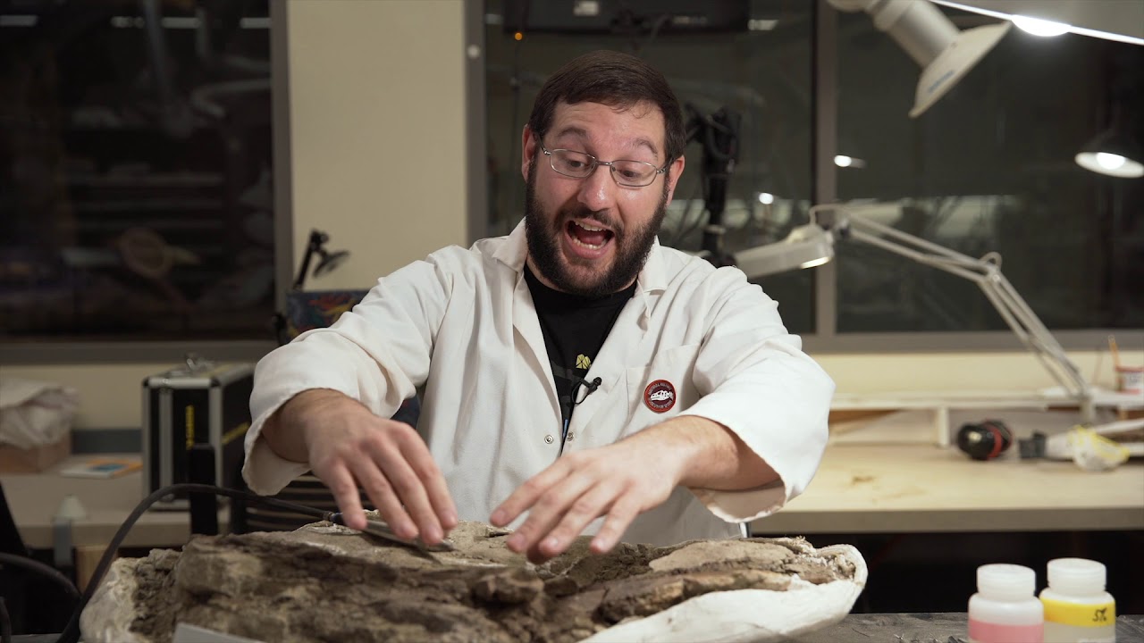 Virtual Field Trip — The Paleo Prep Lab