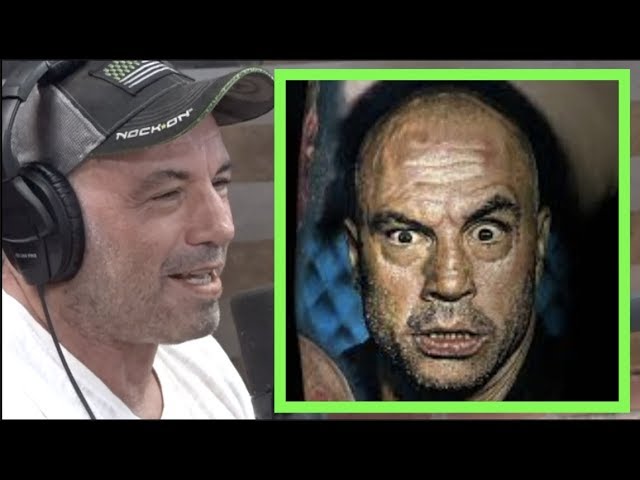 Joe Rogan claims he's grown "oddly comfortable" with fans getting his ...