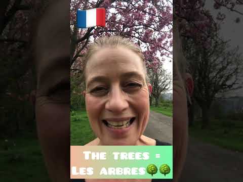 Speak Better French 🇫🇷 Now! How to say spring, trees & blossomed 🌳 🌸 🌳 🌸 🌳 🌸