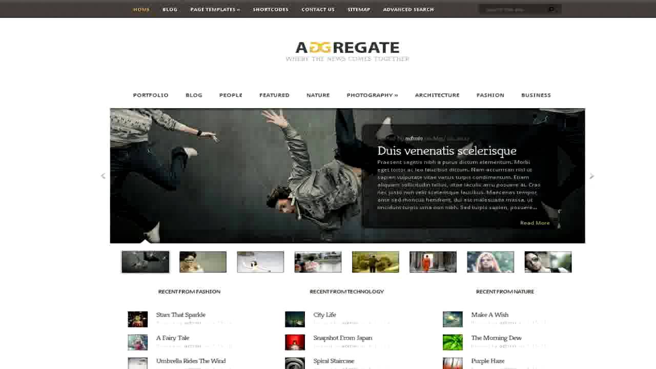 Wordpress themes with flash