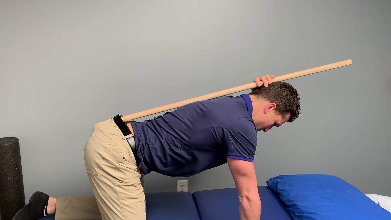 Quadruped Neutral Spine Rock Back