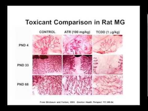 Webinar 1 of 5- An Overview: Reproductive & Developmental Health
