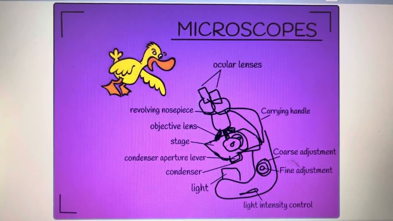 Learn About Lab Equipment - Biotech