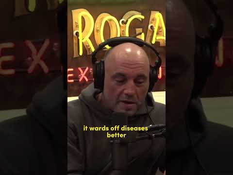 Joe rogan “I take testosterone replacement” #1795 - Antonio Garcia Martinez