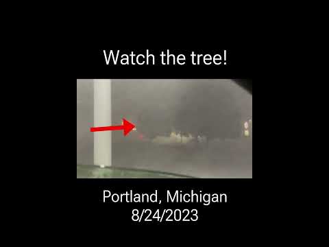 INSANE 80 MPH wind gusts in MICHIGAN! #weather #severeweather #tornado