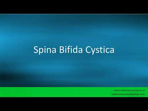 Pronunciation of the word(s) "Spina Bifida Cystica".