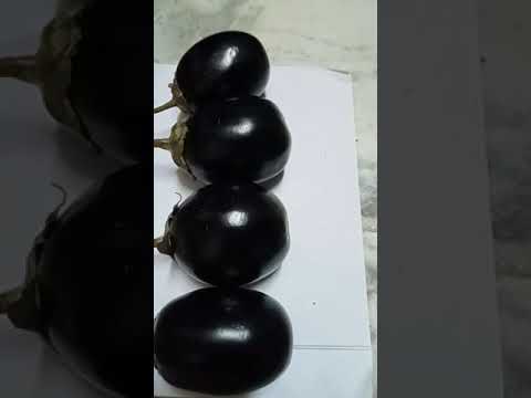 dream about brinjal salad or eggplant salad meaning in english #Shorts