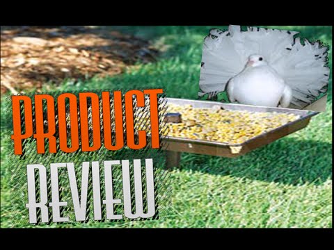 Product Review: Stokes Platform Feeder