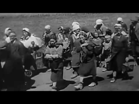 Demography of refugees in Europe since WW2
