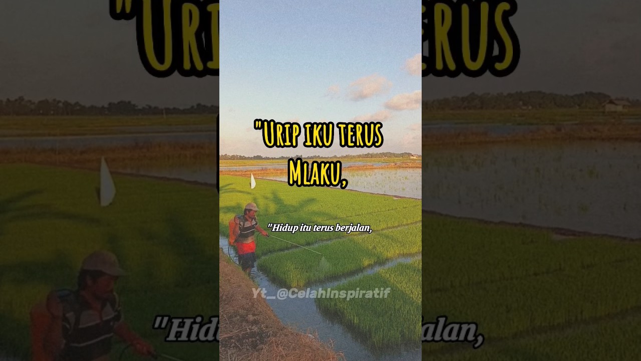 kata2 bijak bahasa jawa|motivasi|#katakatabijak #katamotivasikehidupan