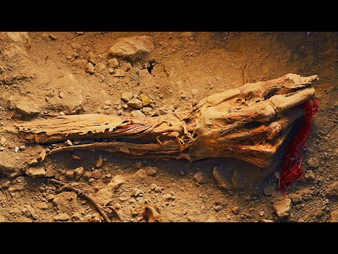 This Find Has Shocked Archaeologists Worldwide