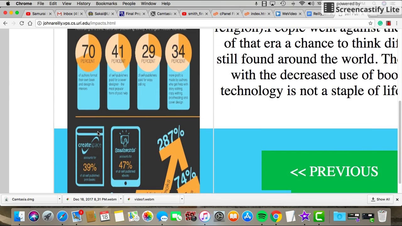 CSS 101 final project