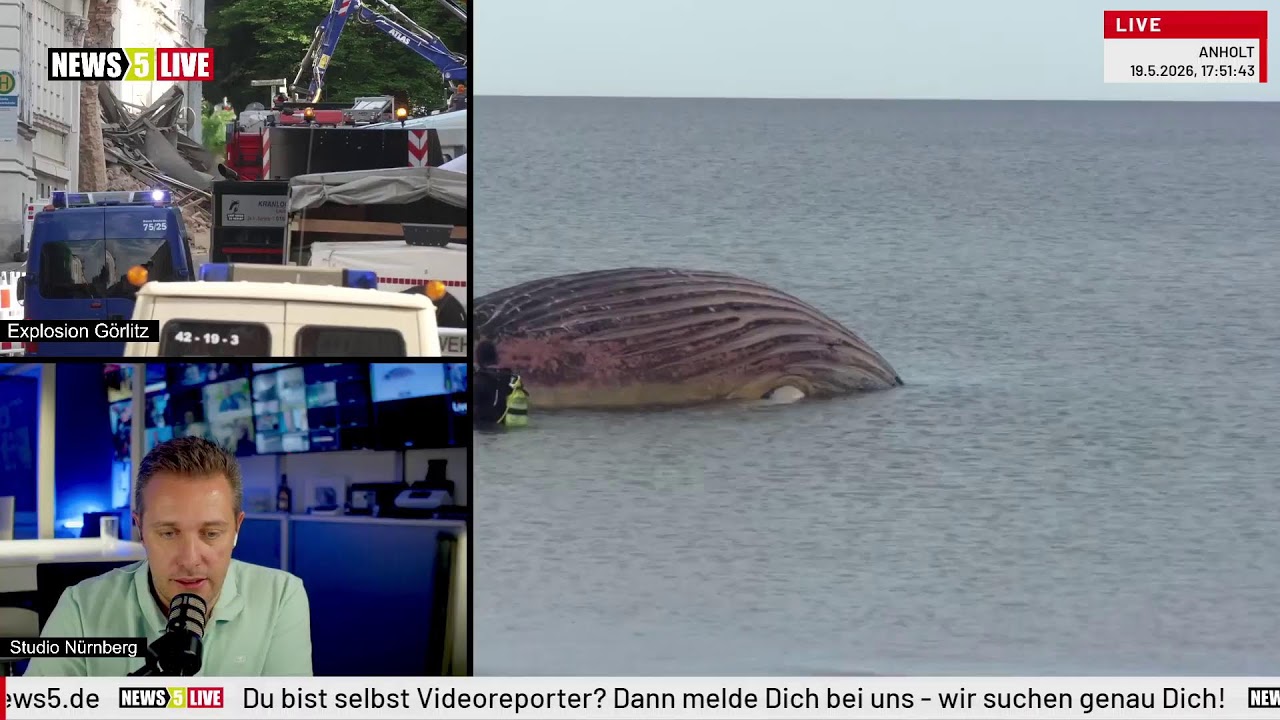 LIVE: NEWS UPDATE -  Wal vor Dänemarks Küste / Explosion Görlitz