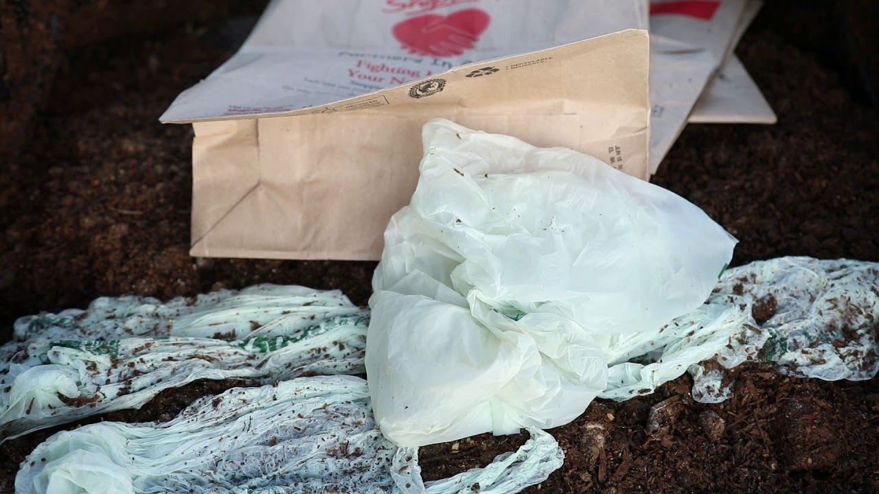Compost Bag Experiment do the compostable bags really work?