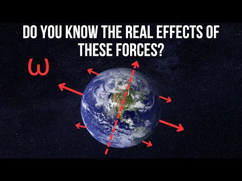 The Reality of Fictitious Forces