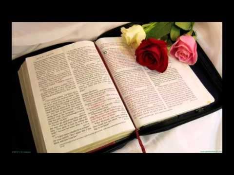 Scripture of the day "GOD'S WORD IS ALIVE" (Hebrews 4:12)