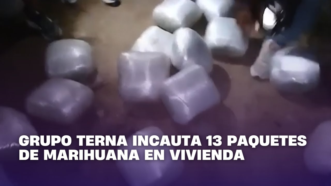 Grupo terna incauta 13 paquetes de marihuana en vivienda