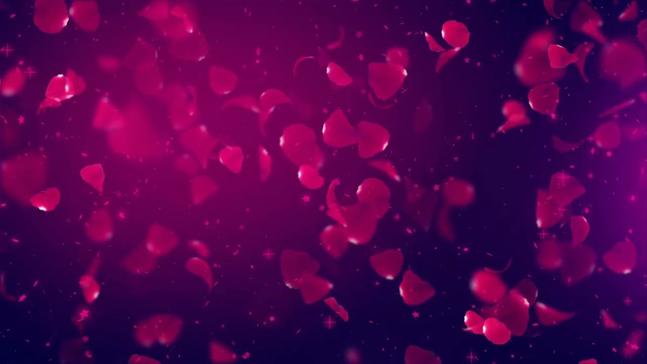 Valentine Rose Petal Visuals – 10 Hours 4K Romantic Background Loop, Love, Wedding,...