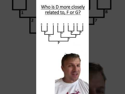Phylogenetic Tree Question