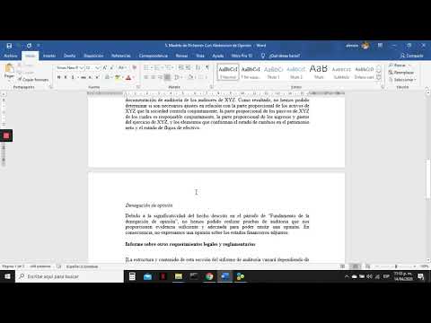 Dictamen de auditora con abstención de opinión