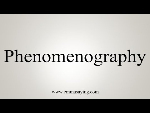 How To Say Phenomenography