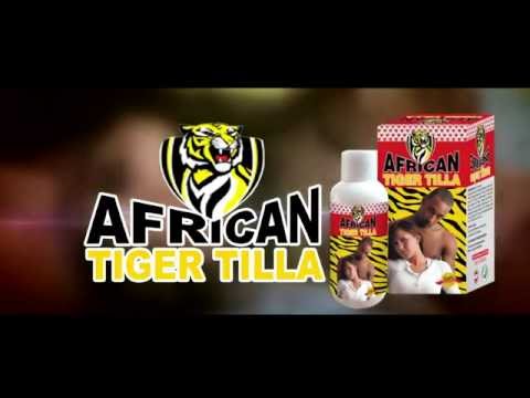 Tiger Toy - Stuffed Tiger Latest Price, Manufacturers & Suppliers