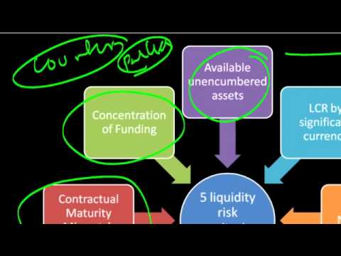 ALM and Capital Adequacy - ICAAP and Liquidity Risk Capital extensions