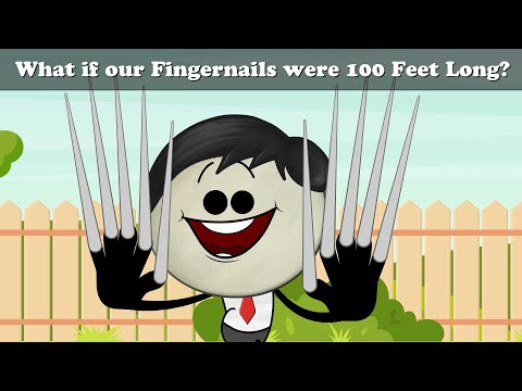What if our Fingernails were 100 Feet Long? + more videos | #aumsum #kids #cartoon #whatif