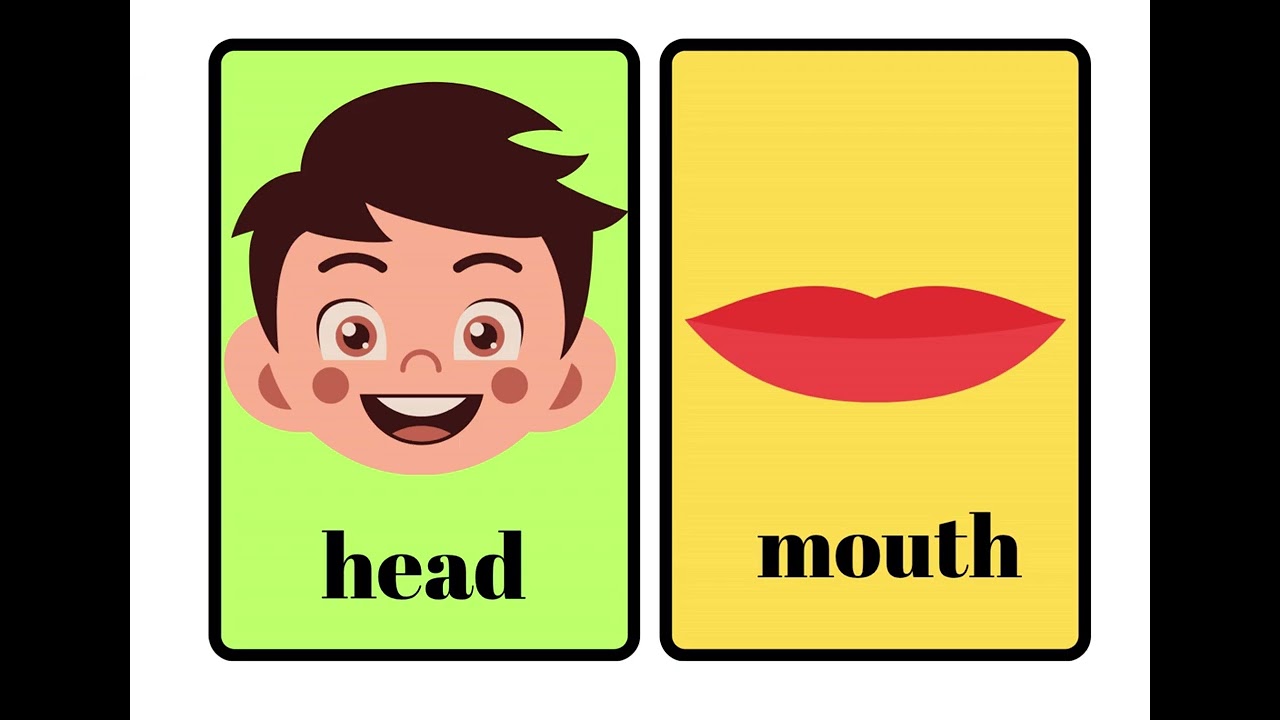 Flashcards parts of the body