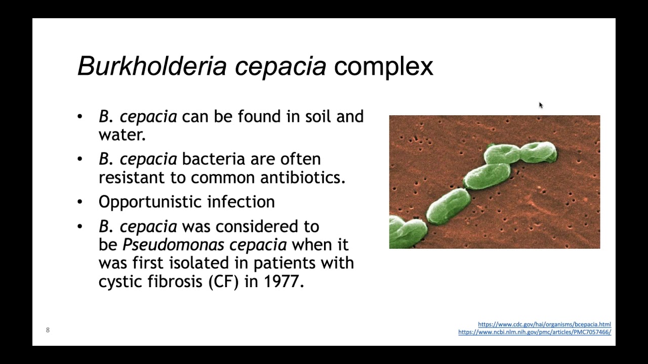 CIC Study Group | Infection Prevention Programs