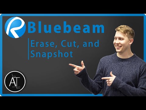 Erase, Cut, and Snapshot | BLUEBEAM FOR ARCHITECTS