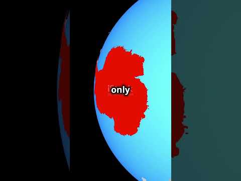 The Mysterious Piri Reis Map: Ancient Knowledge or Coincidence?