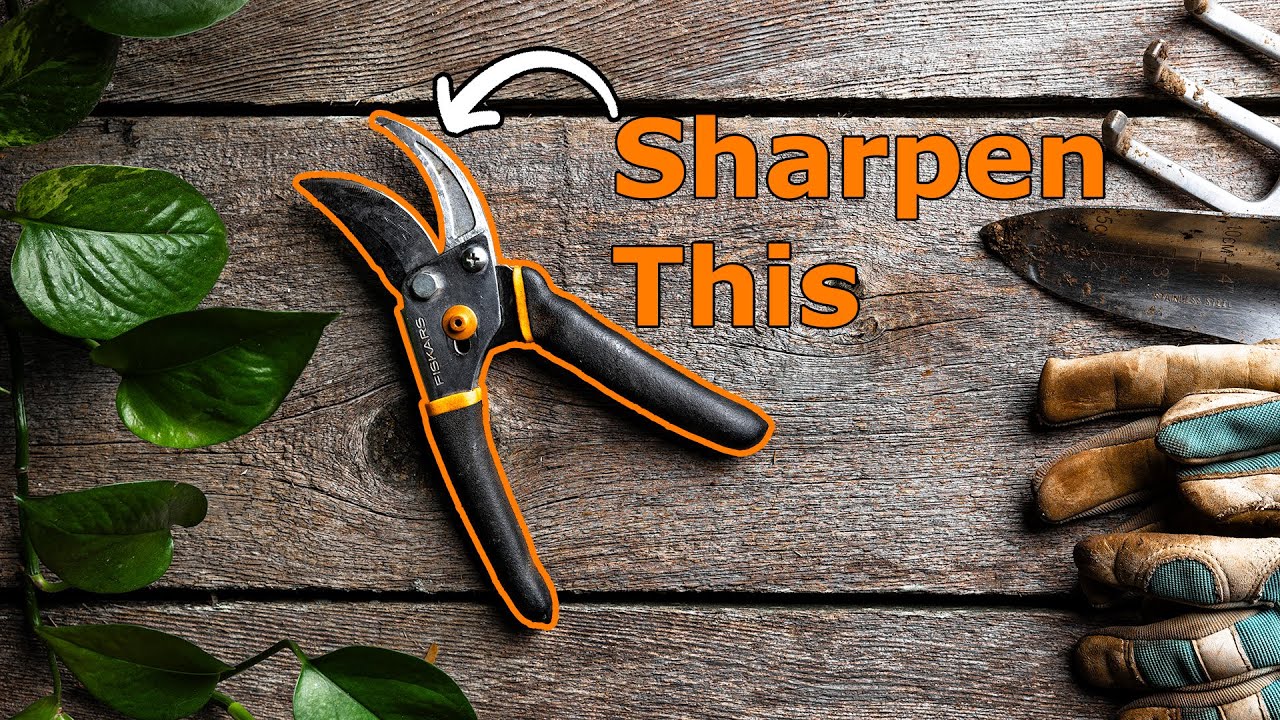 Revive Your Pruning Shears: Simple DIY Sharpening Methods