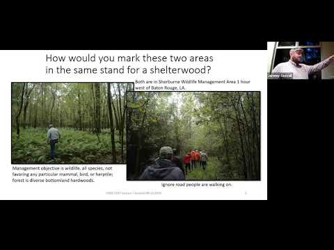 Shelterwood Regeneration Method - SFA Silviculture Lecture (FORS 3347)
