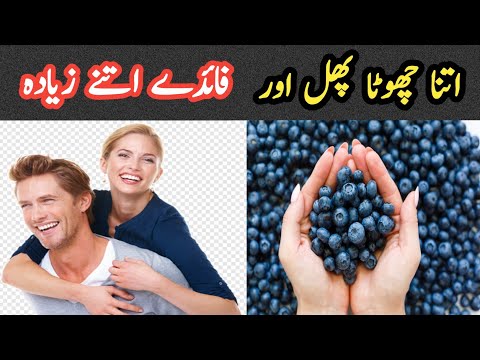 Blueberries benefits for men/women | Blueberries benefits urdu/hindi