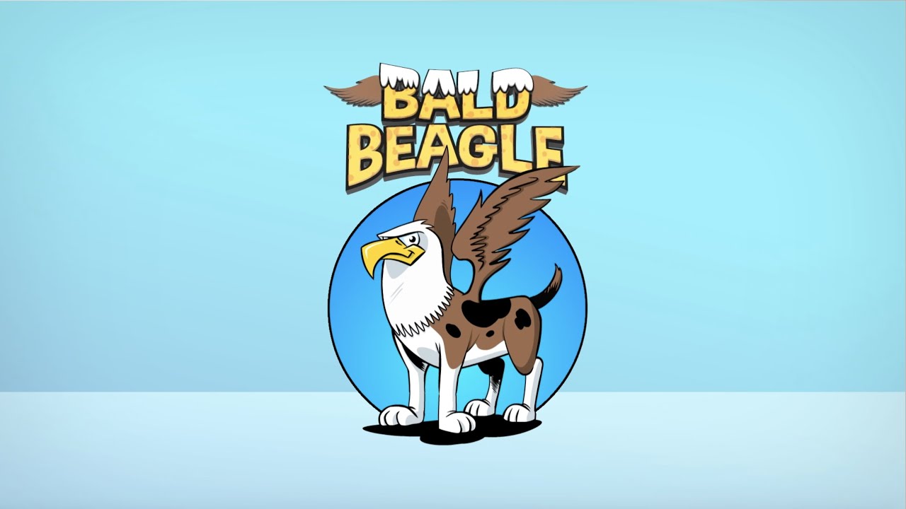 Bald Beagle