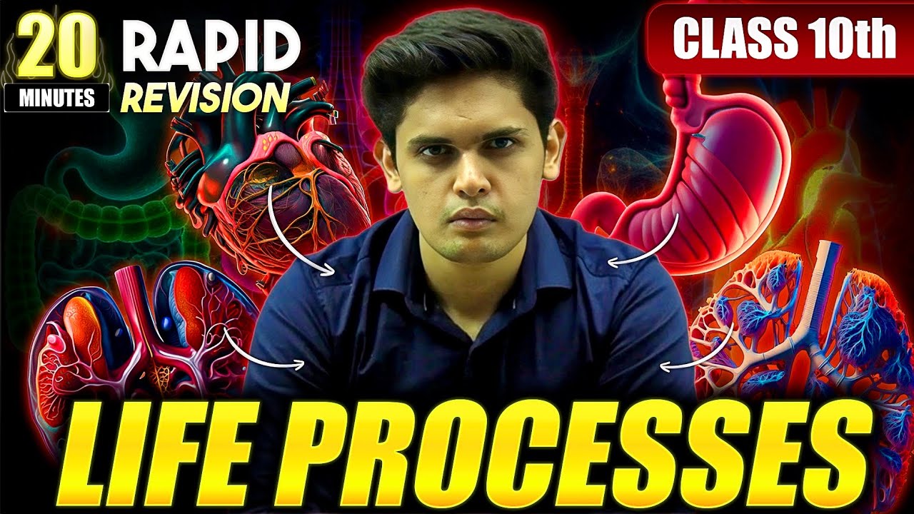 Understanding Life Processes: A Comprehensive Guide for Class 10 ...