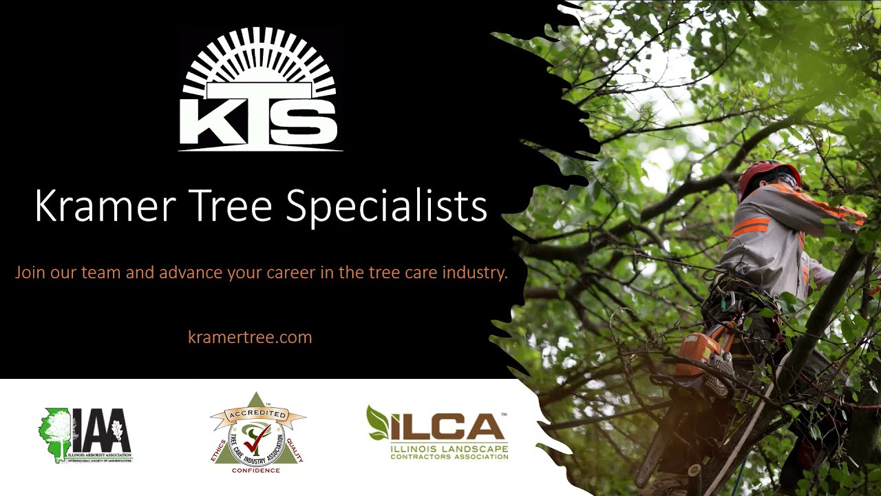 Careers At Kramer Tree